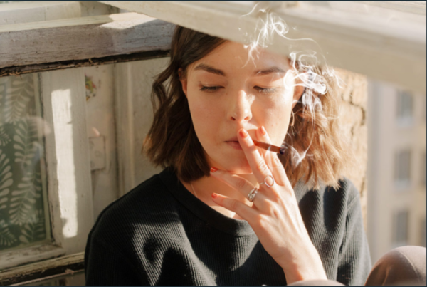 Learn About Cannabis - Vibe By California