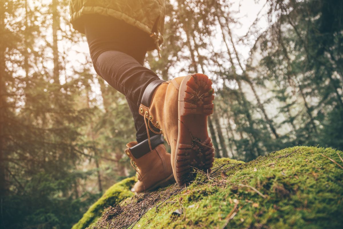 Cannabis-Friendly Getaways California | Vibe